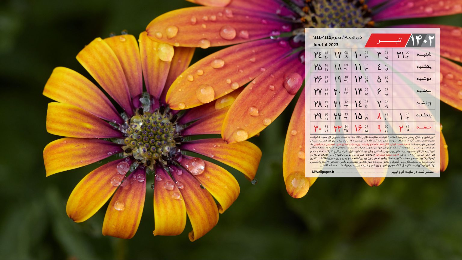 بک گراند تقویم تیر 1402 | PERSIAN CALENDAR WALLPAPER