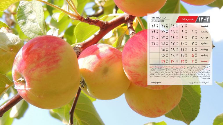پس زمینه تقویم مرداد 1402 با عکس درخت سیب اِم والپیپر