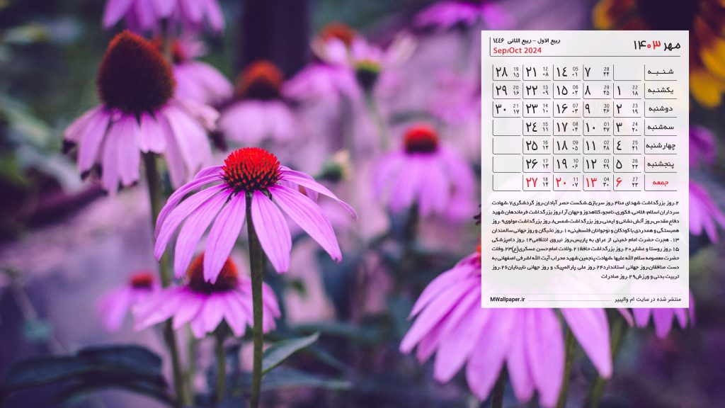 پس زمینه تقویم مهر 1403 با عکس گلهای صورتی - اِم والپیپر